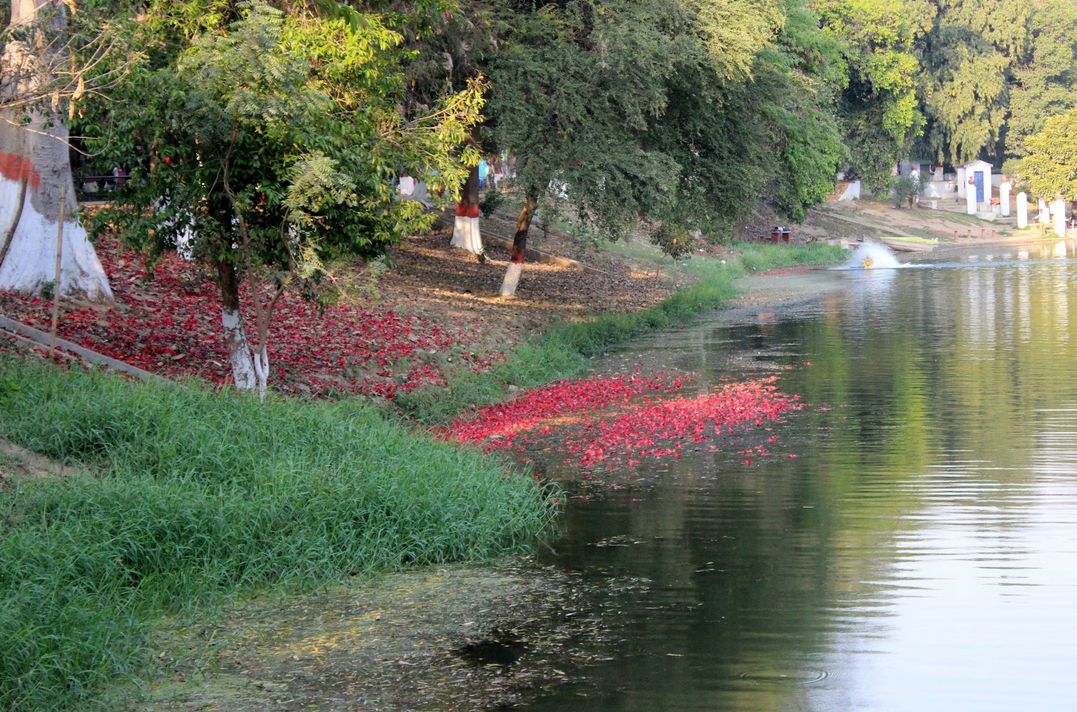 Patna City : Best Tourist Places, Famous Monuments NORTH INDIA